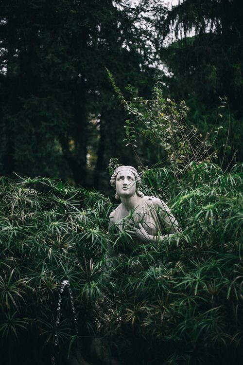 La pureza del alma – Human experience